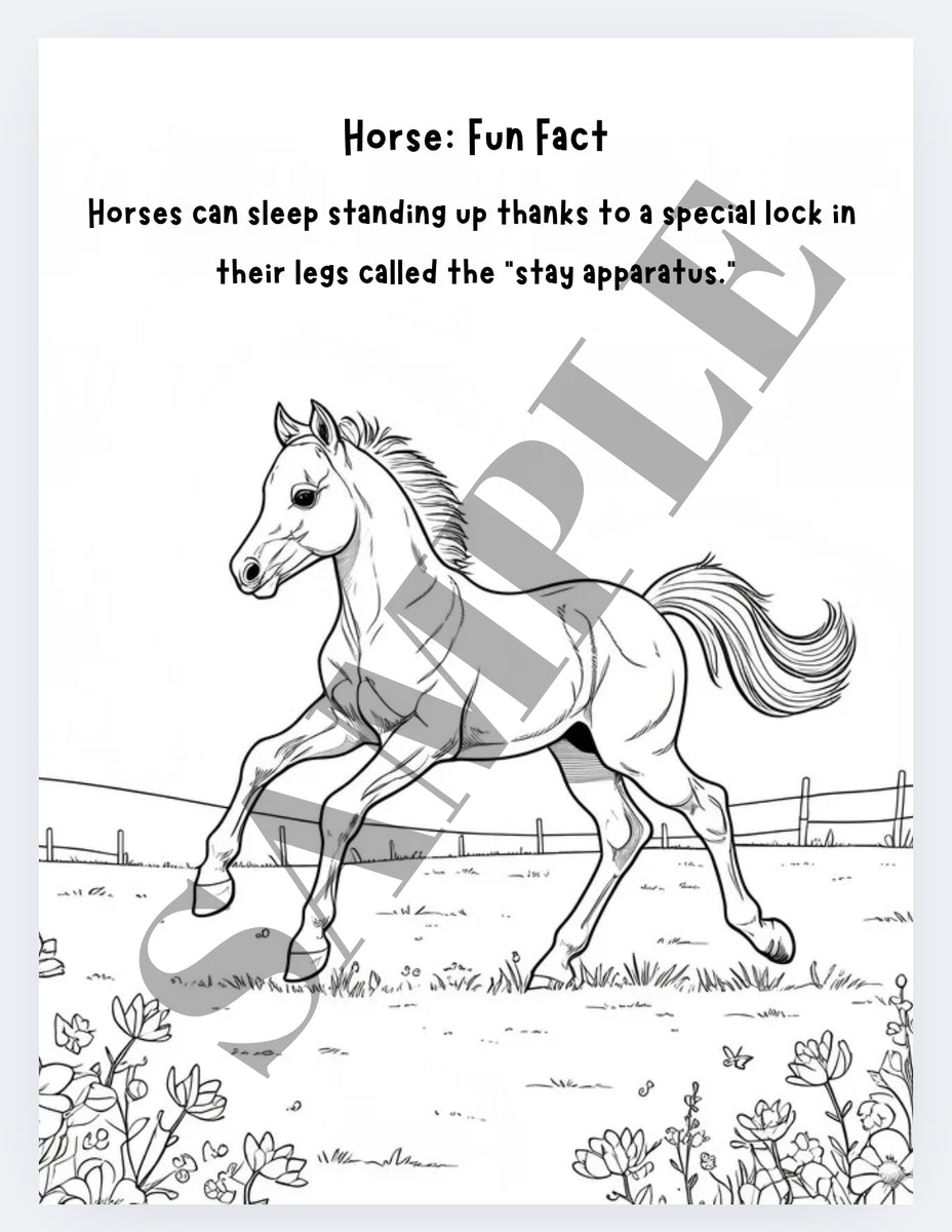 Farm Animal Coloring Book with Fun Facts – Farmlight Homestead, LLC